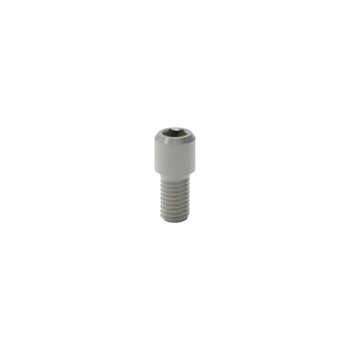 Prosthetic screw secondary, (for Multi Unit Abutment) – Schütz Dental GmbH